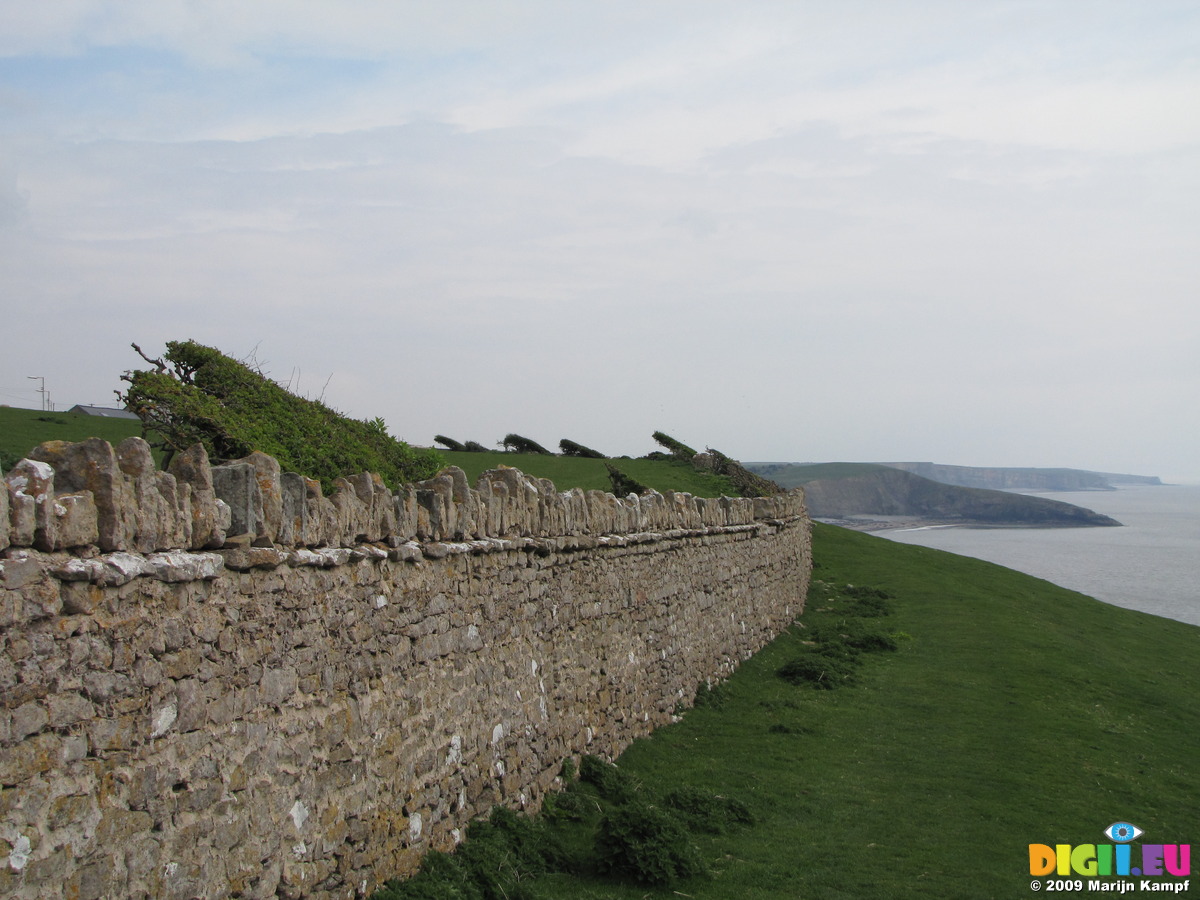 Picture SX05269 Little black and white lamb | 20090416 Ogmore by Sea ...