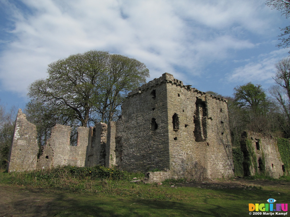 Picture SX05291 Scottish highland cattle | 20090418 Bike ride to ...