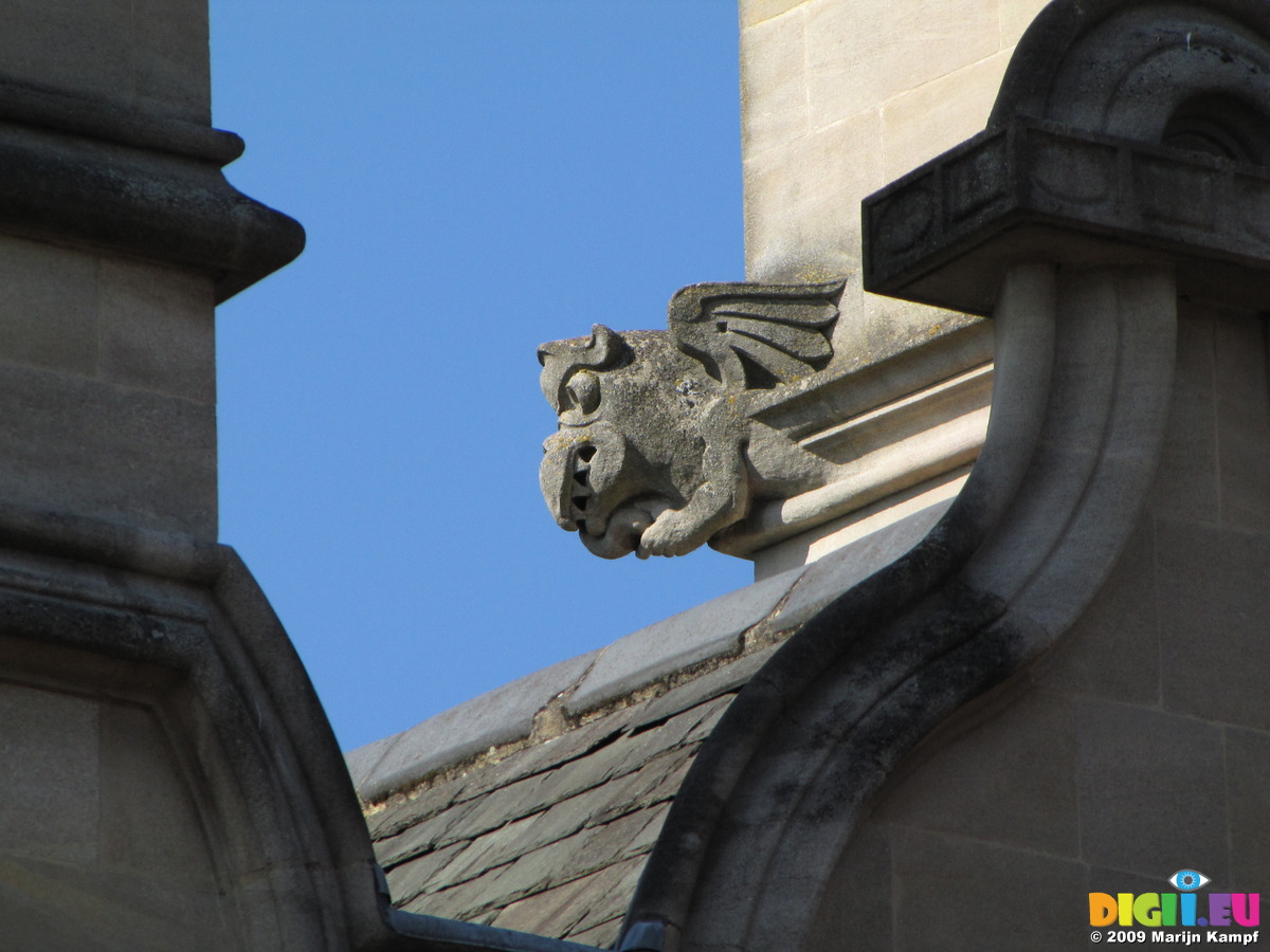 Picture SX07831 Dragon gargoyle oxford building | 20090724-25 Oxford ...